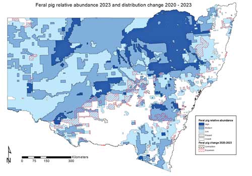 Feral pigs cause $62 million in losses - Australian Pork Newspaper